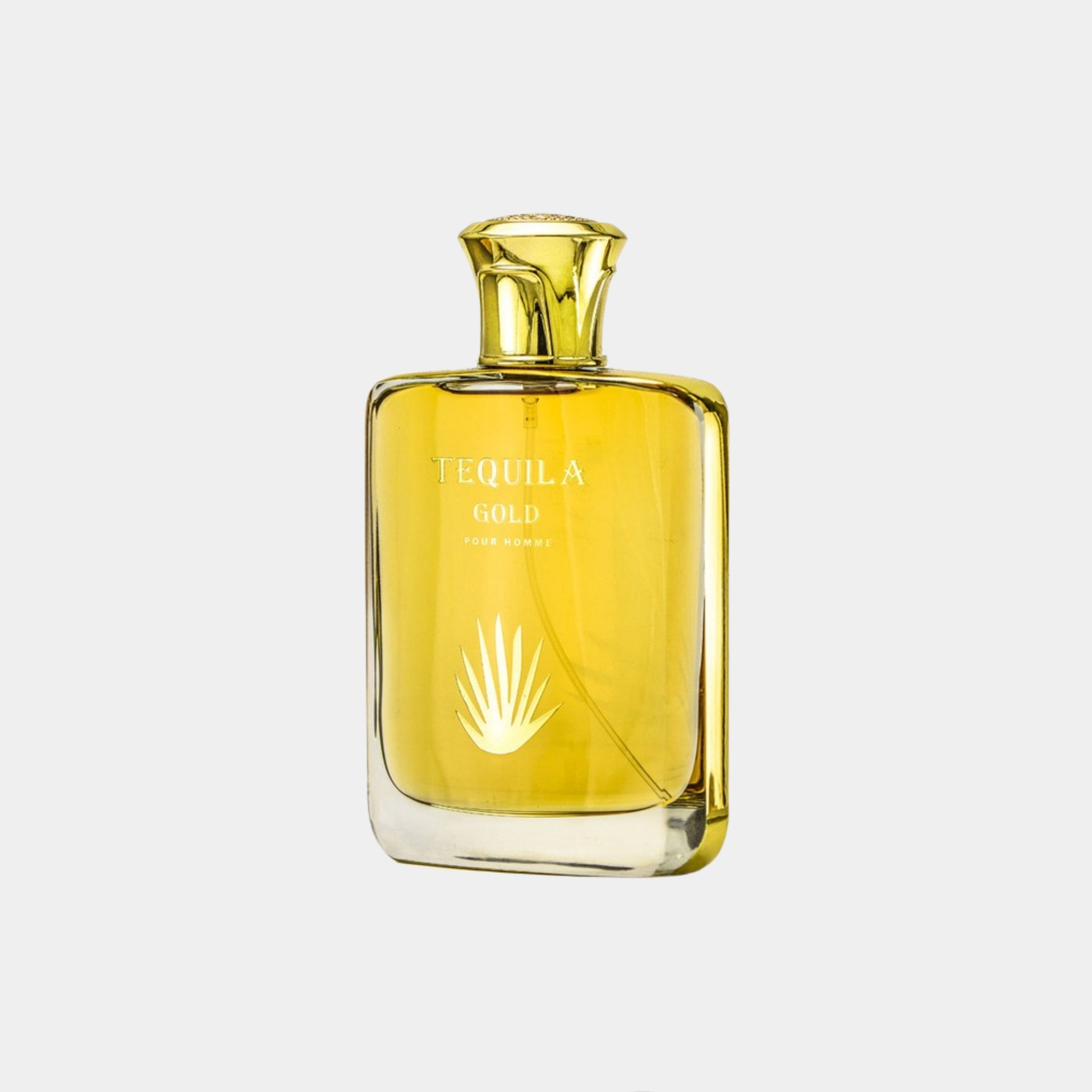 Tequila Gold Eau de Parfum for Men by Tequila Perfumes at L'Odeur Ottawa